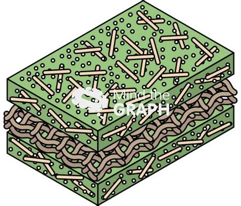 Hierarchically Reinforced Composites Matrix Particles Short Fibers Woven Fibers