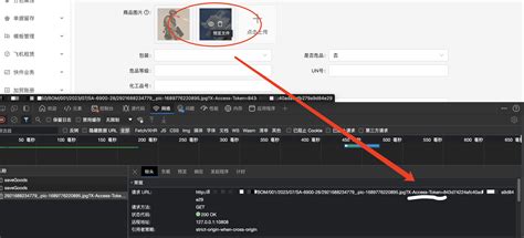 nginx文件下载预览加权限验证的思考和实现 nginx图片后台鉴权 csdn博客