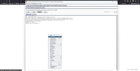 Ctfhub Srrf（上） Gopher协议ctf Ssrf Gopher Csdn博客