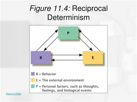 Ppt Chapter 11 Powerpoint Presentation Free Download Id1097464 Ppt Chapter 11 Powerpoint Presentation Free Download Id1097464