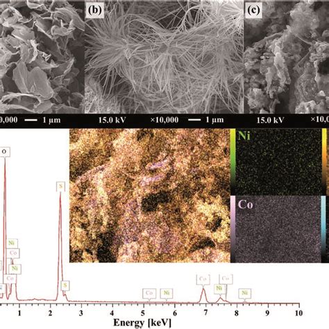 Schematic Of Facile Two Step Hydrothermal Synthesis Of Ns Gncs