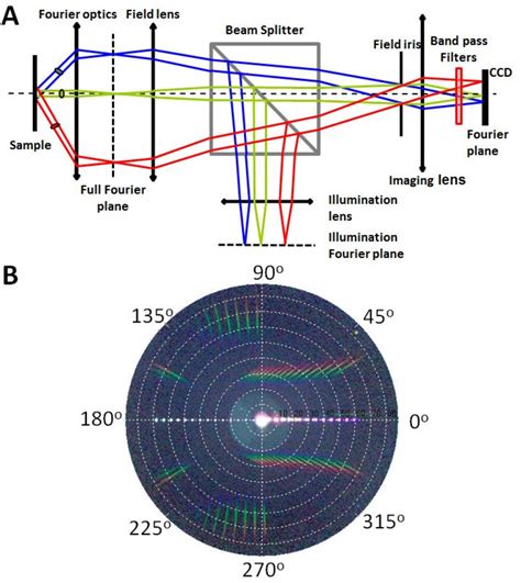 figure 1 from alignment free characterization of 2d gratings semantic scholar