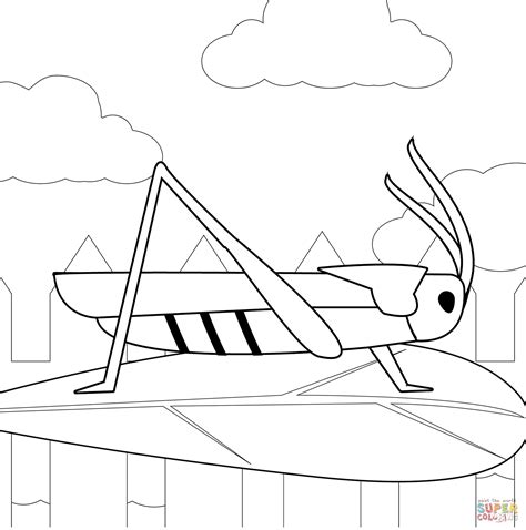 Grasshopper Coloring Page Free Printable Coloring Pages