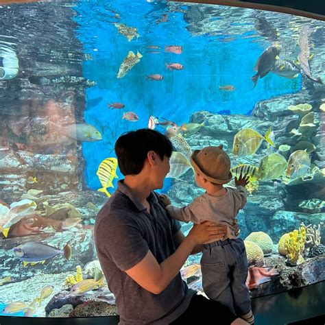 6월 제주도 아이랑 갈만한 곳 아이와 가볼만한곳 여행 제주 아쿠아플라넷 공연 할인 네이버 블로그