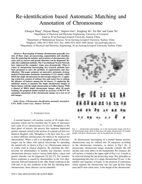 Pdf Re Identification Based Automatic Matching And Annotation Of Chromosome
