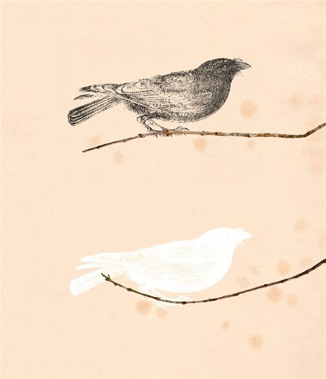 Haiku Challenge The Ghost Of Basho Tricycle The Buddhist Review