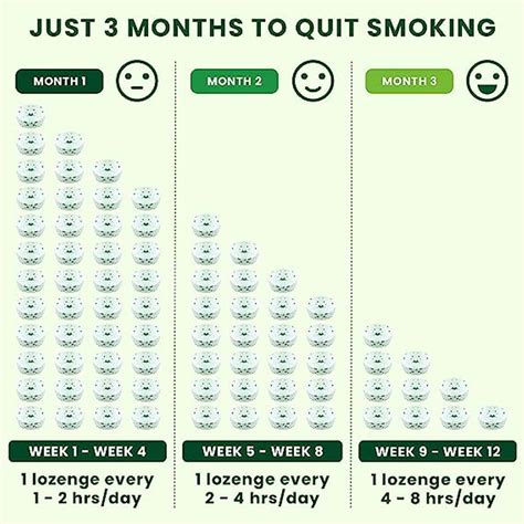 Buy Nixit Nicotine Lozenge 2mg Frost Mint Flavored Sugar Free 10