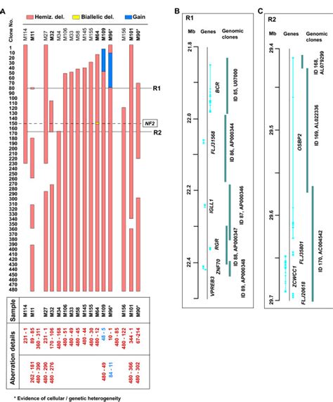 Summary Of Array Cgh Profiles For Chromosome 22 Insporadic Meningioma Download Scientific