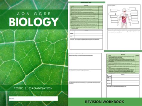 Topic 2 Organisation Revision Workbook Aqa Gcse Biology And Combined