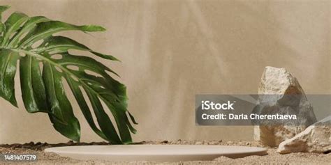 최소한의 천연 제품 디스플레이 배경 돌 바위와 둥근 연단 3d 렌더링 0명에 대한 스톡 사진 및 기타 이미지 0명 강단 공란 Istock