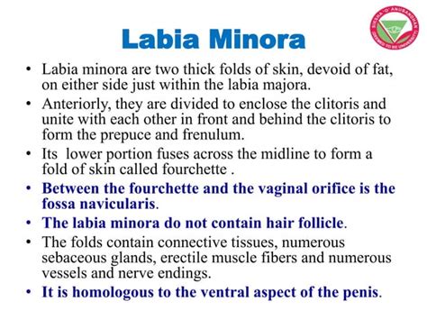 Anatomy And Physiology Of Female Reproductive System Pptx Pregnancy