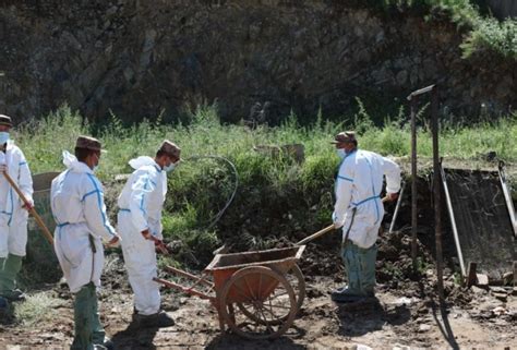 Үерийн голомтод ажилласан 16 алба хаагч гэдэсний халдварт өвчнөөр өвчилжээ Агуулга МН