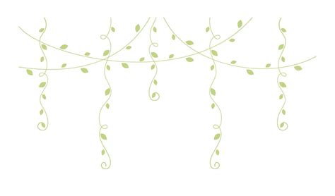 Green Hanging Vines Vector Illustration Simple Minimal Floral Botanical Vine Curtain Design