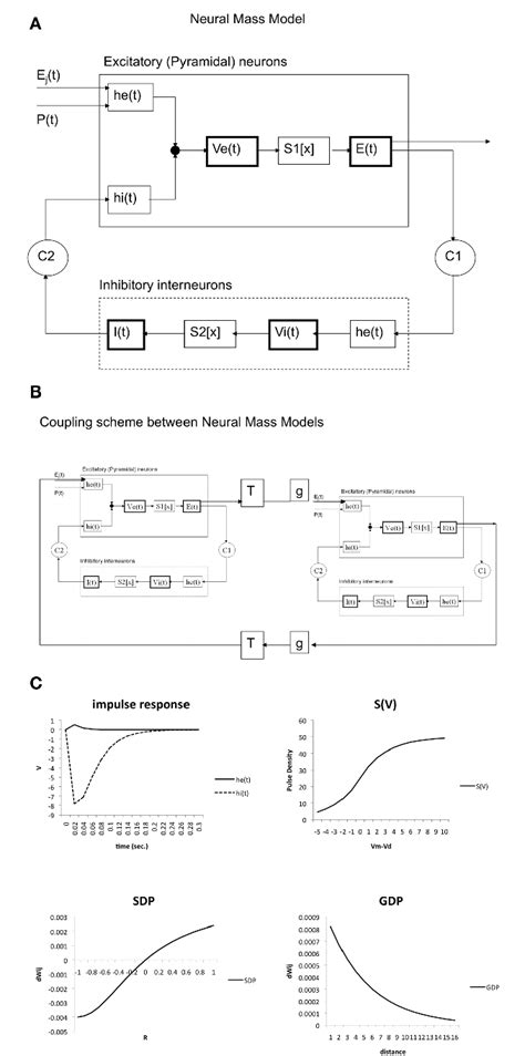 Figure 1 From Emergence Of Modular Structure In A Large Scale Brain