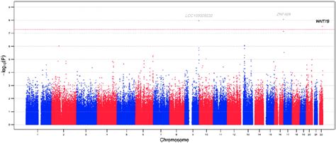 A Manhattan Plot Presenting The Log10 P Values For The 576 798 Snps Download Scientific
