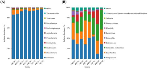 Microbial Community Bar Plot At The A Phylum And B Genus Level In