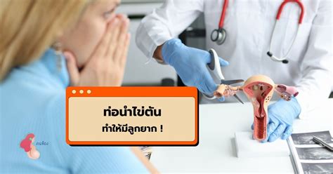 ทอนำไขตน ภาวะผดปกตอยางหนง ททำใหไมมลกสมใจสกท Konthong com