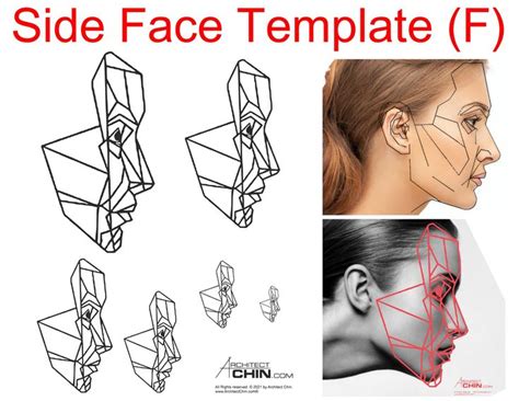 Female Face Template Female Face Ratio Female Face Instant Download Etsy Face Template