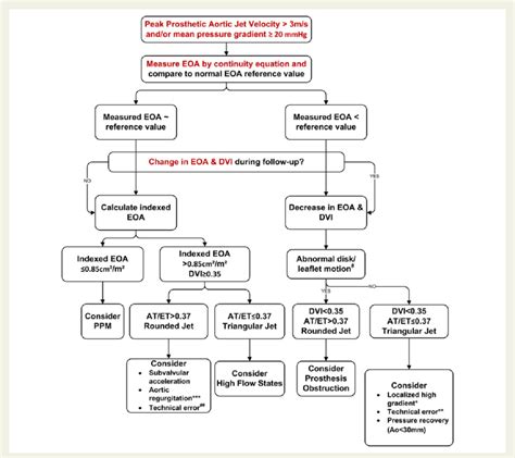 Algorithm For Evaluation Of High Transvalvular Aortic Gradient Ao Download Scientific Diagram