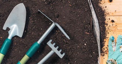 Can You Reuse Potting Soil Tips On Reusing Old Soil