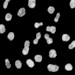 Classify Particles Novel Context Based Segmentation Algorithms For
