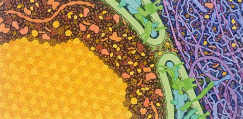 Comment Lia Impacte La Recherche Sur La Structure Des Protéines