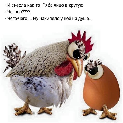 Смешная курица 77 фото