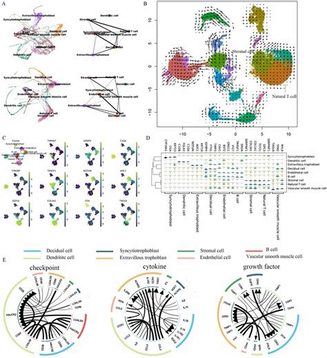 Biological Analysis Of Turf Optimal Gene Set A Gene Expression Download Scientific Diagram