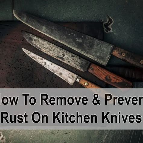 Proven Ways On How To Prevent Rust On Kitchen Knives Sharpy Knives Passionate Sharpeners