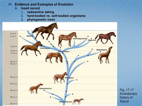 Ppt Evolution Natural Selection And Adaptation Powerpoint Presentation