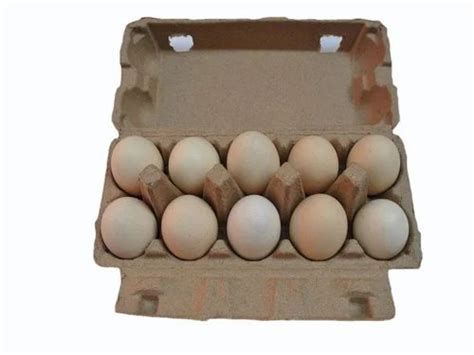 10 Egg Paper Pulp Box At ₹ 2 Piece Egg Crate In Yamuna Nagar Id 2854390736997