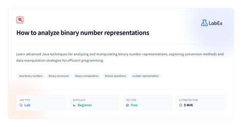 How To Analyze Binary Number Representations Labex