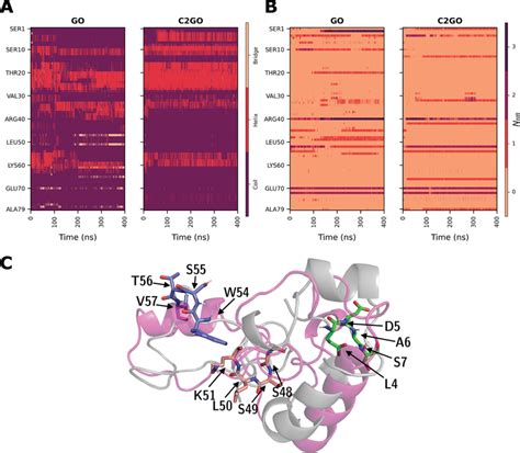 A Define Secondary Structure Of Proteins Dssp Algorithm Applied To Download Scientific