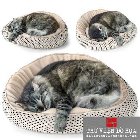Free 3dsmax Pro Creature Cat Mèo 3dsmax ThƯ ViỆn ĐỒ HỌa