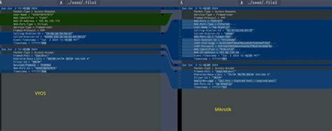 Pppoe Server No Accounting Updates General Questions Vyos Forums