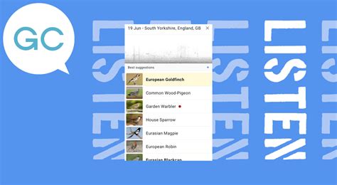 “its Safe To Say I Got Obsessed” Merlin The App That Identifies Birdsong Global Comment