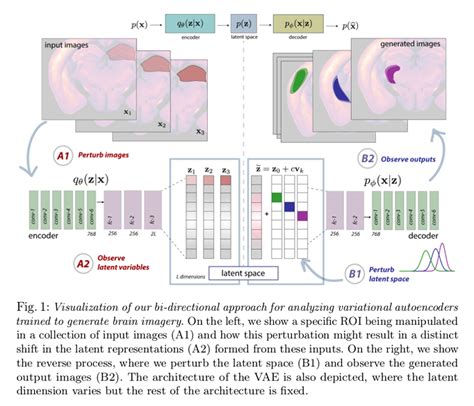 A Generative Modeling Approach For Interpreting Population Level