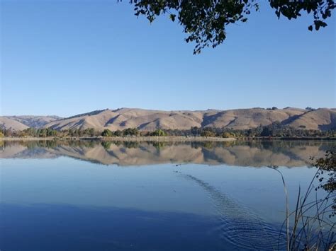 Lake Elizabeth Stillness Photos Of The Day Fremont Ca Patch