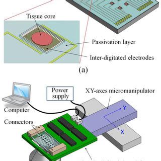 Schematic Of The Microchip Download Scientific Diagram