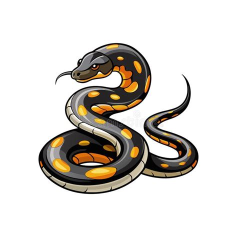 Detailed Black Headed Python Realistic Vector Art Stock Illustration Illustration Of Cute