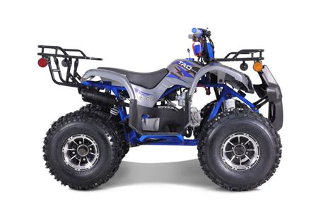 Tao T Force Platinum 125cc Four Wheeler Atv Pioneer Powersports