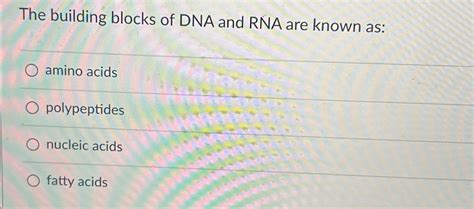Solved The Building Blocks Of DNA And RNA Are Known As Amino Chegg Com
