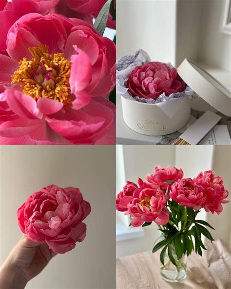 Виктория СВЕЧИ ЦВЕТЫ ОБУЧЕНИЕ ПОДАРКИ Кофейные свечи со льдом 🤎🧊 Ароматы •капучино ☕️