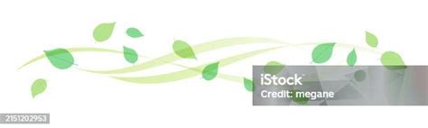신선한 녹색 잎과 물결 모양의 선 벡터 일러스트 레이 션과 배경 0명에 대한 스톡 벡터 아트 및 기타 이미지 0명 곡선 굽은 Istock
