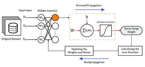 flow diagram of transfer learning in nn including the reuse of a