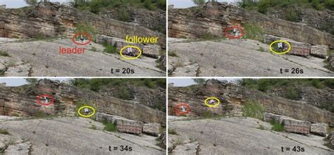 Experimental Verification Of The Multi Mav System Designed For Research Download Scientific