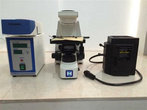 Dapi، Fitc، Tritc، Alexa Fluor، Cy3 Series، Trinocular Fluorescence مجهريscope