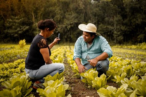 About 4 — Edgecase