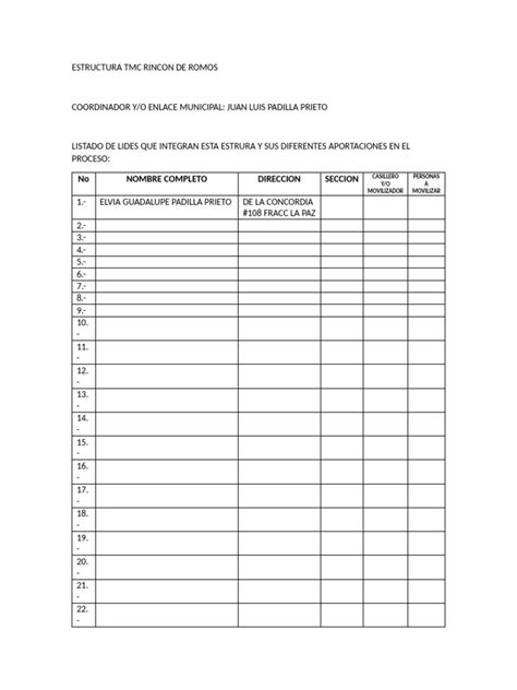 Estructura Tmc Rincon De Romos Pdf