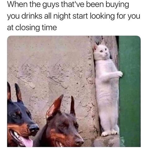 Extra Large Meme Dump 52 Images Artofit
